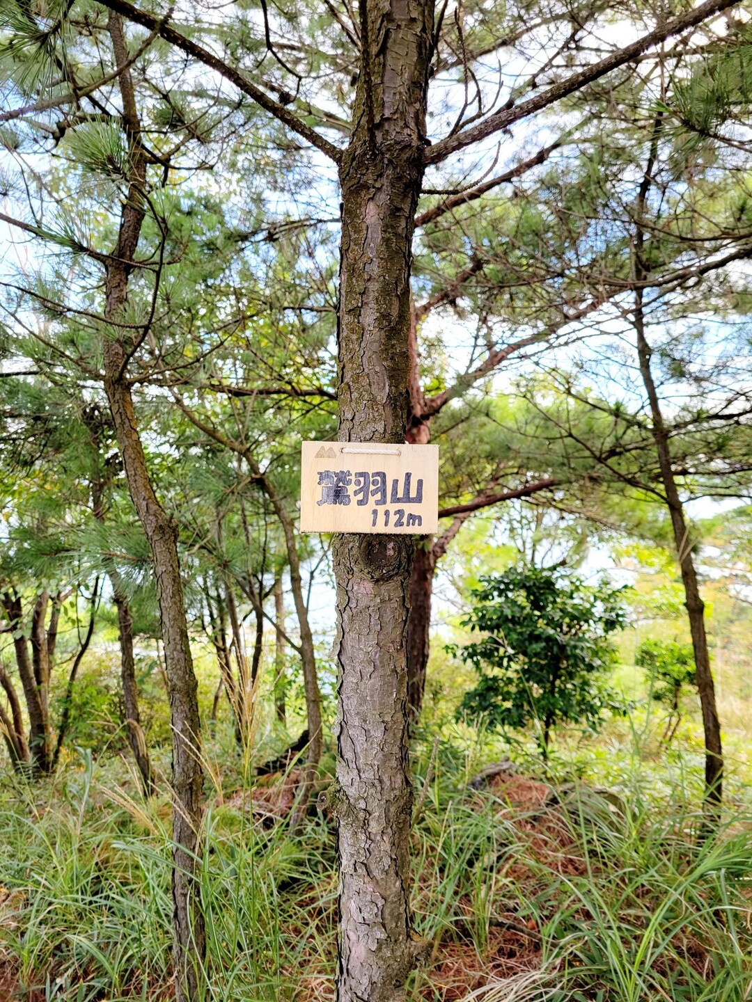 風の道LSD / ひとみさんの鷲羽山の活動データ | YAMAP / ヤマップ