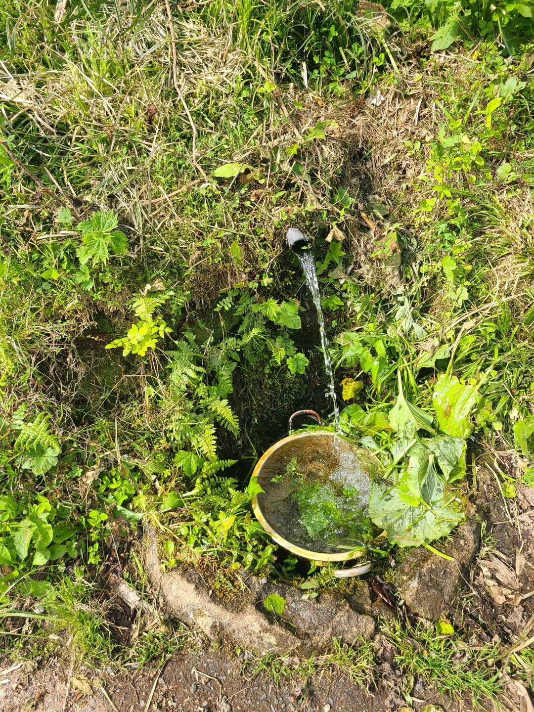 ORIさんの投稿したフィールドメモ | YAMAP / ヤマップ