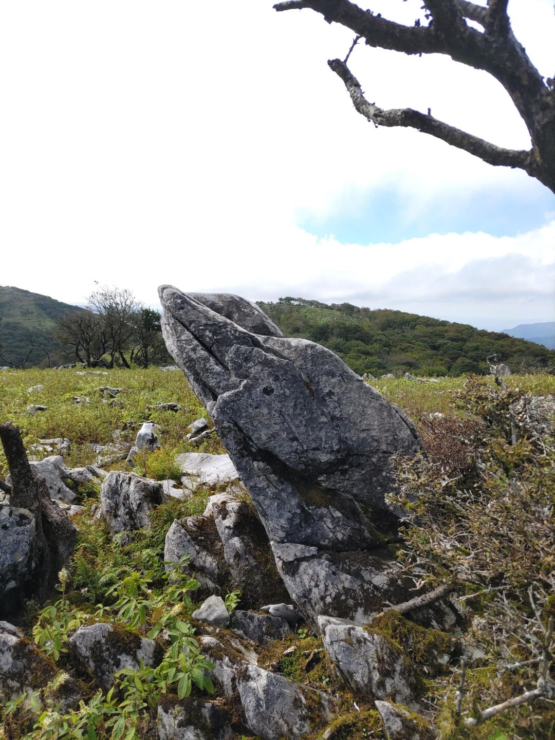 新名所?藤原岳の🐬イルカ岩 / うでズクさんの藤原岳・御池岳の活動データ | YAMAP / ヤマップ