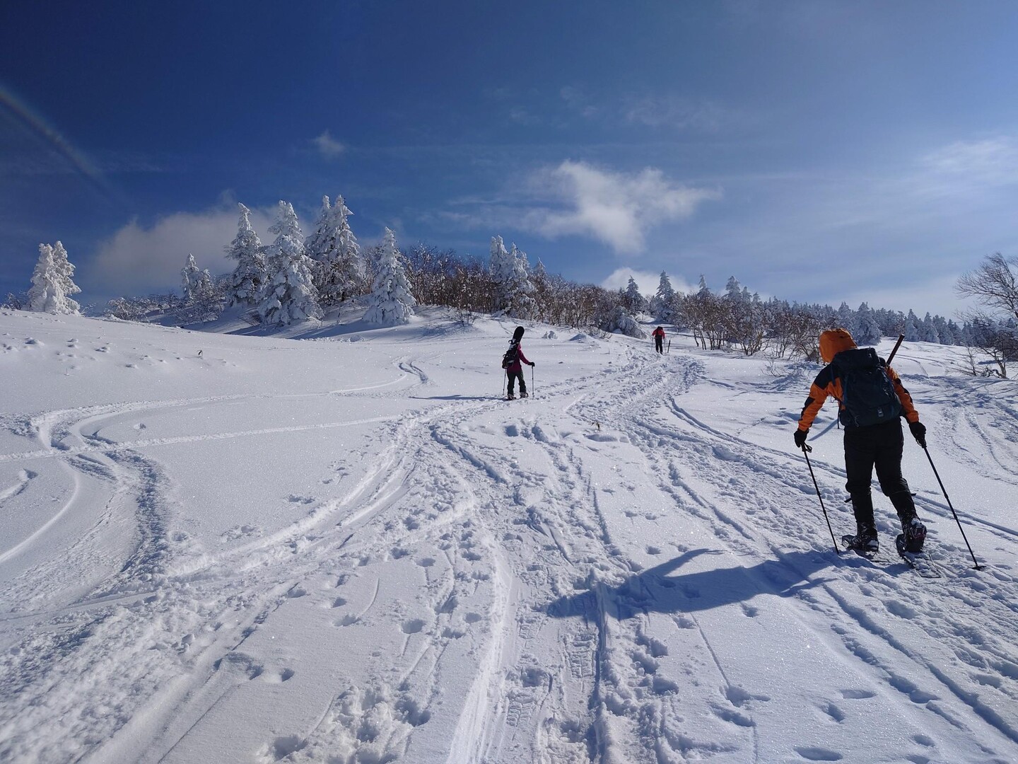 根子岳BC🎿-2025-01-05 / ichiroさんの四阿山・根子岳の活動データ | YAMAP / ヤマップ