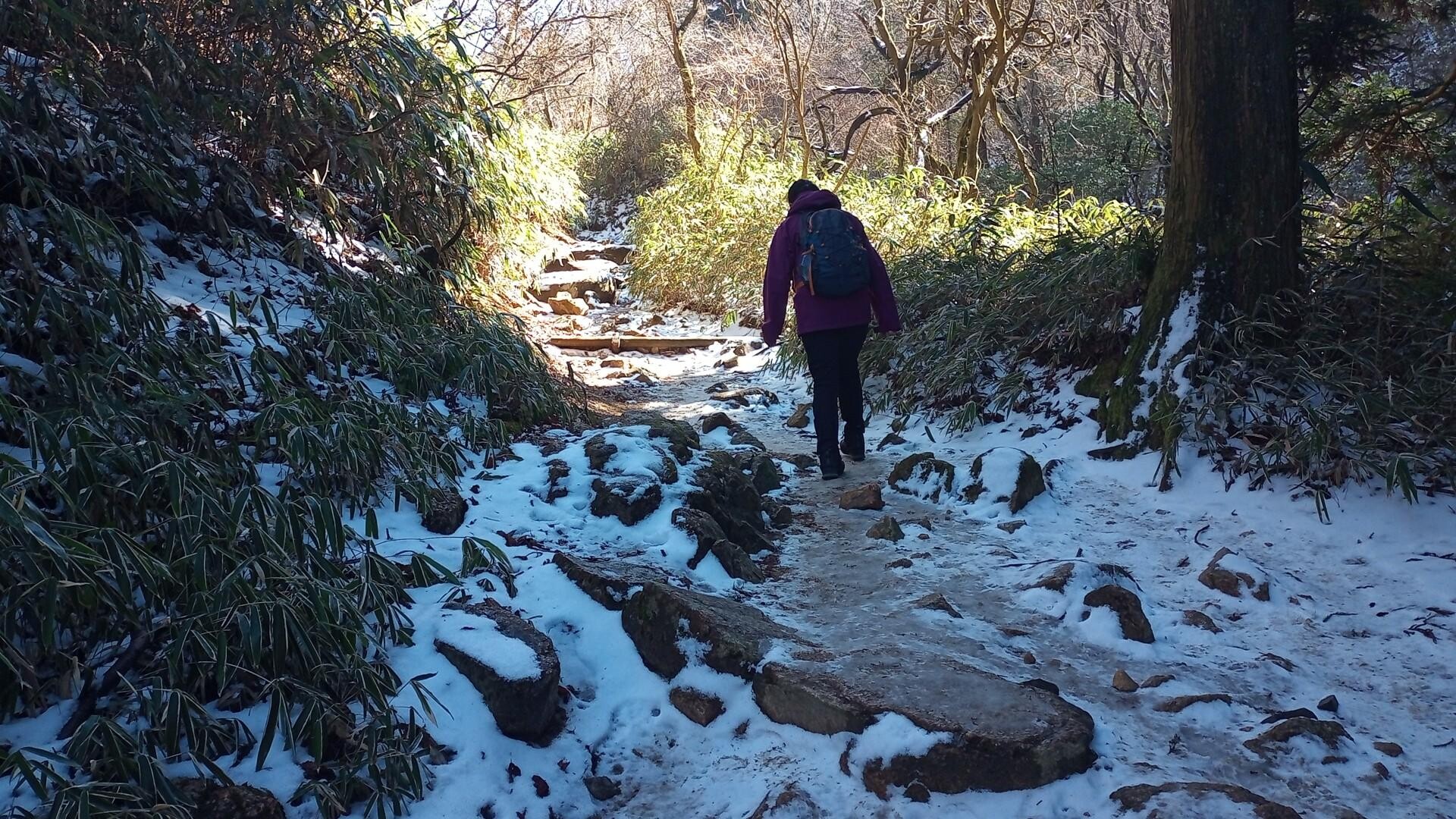 有馬から六甲最高峰往復 / norinoriさんの六甲山・長峰山・摩耶山の活動データ | YAMAP / ヤマップ