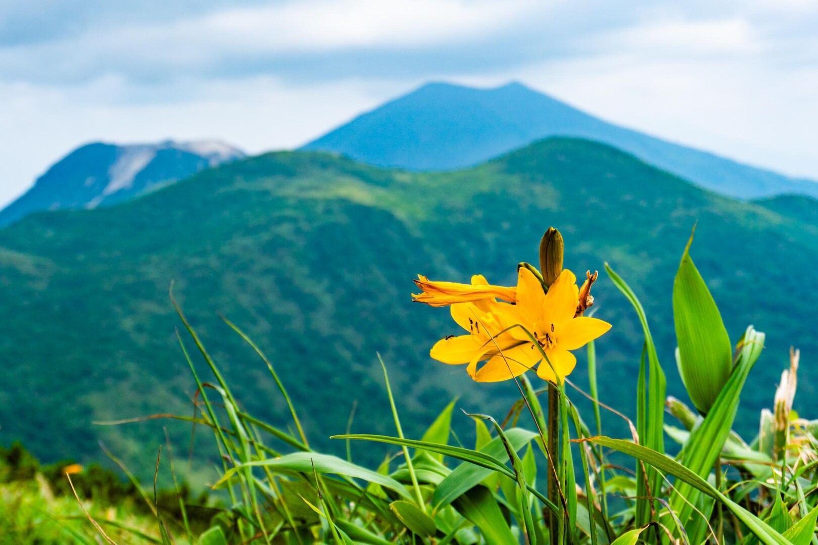登りたくないのに何故登る＠チセヌプリ / 😺Sammyさんのニセコアンヌプリ・イワオヌプリ・チセヌプリの活動データ | YAMAP / ヤマップ