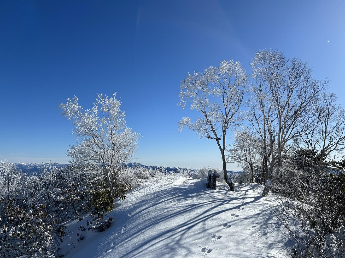 湯ノ倉山・大嵐山 テント泊 / omiさんの登山の活動データ | YAMAP / ヤマップ
