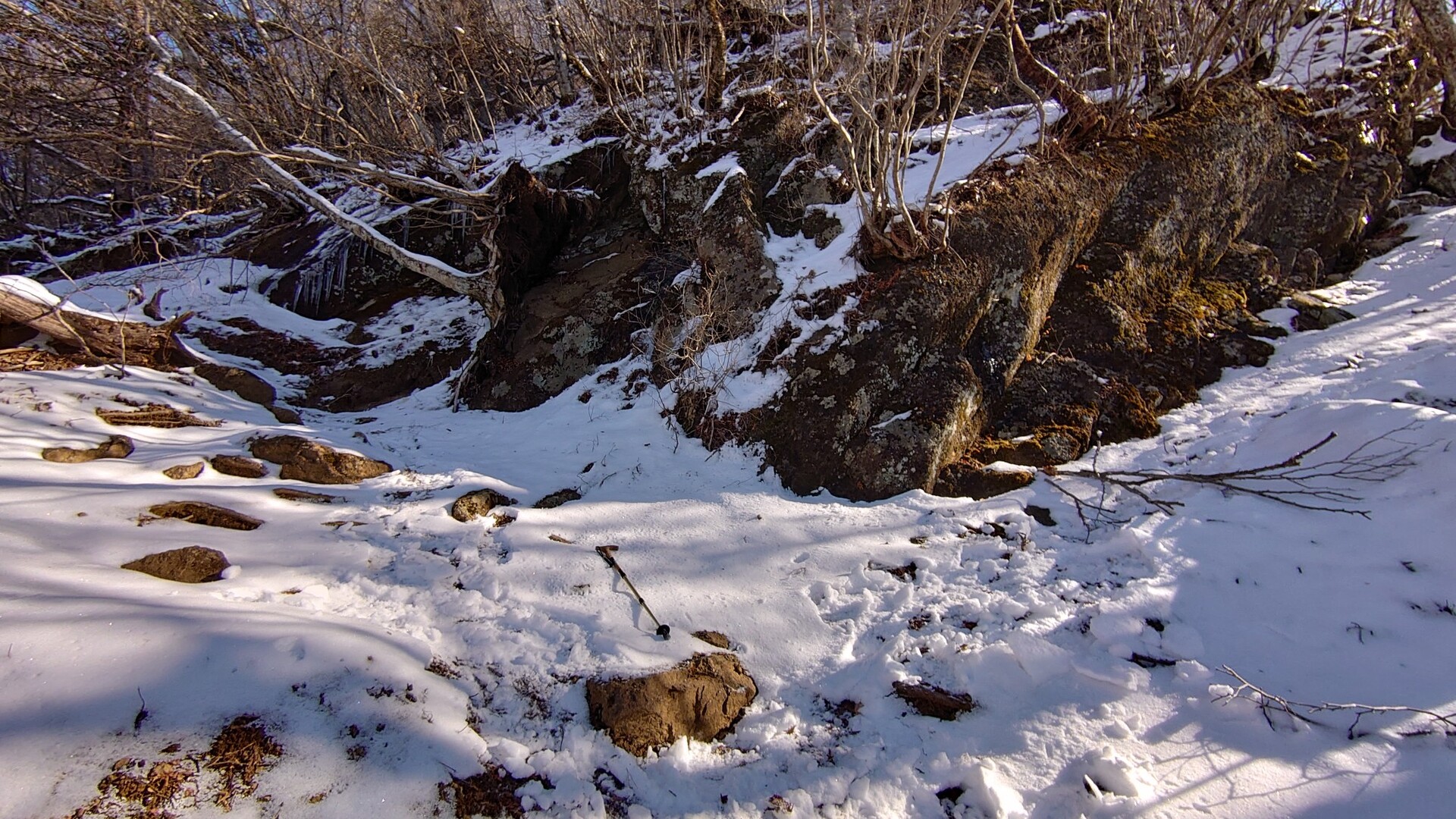 Ryuさんの投稿したフィールドメモ | YAMAP / ヤマップ