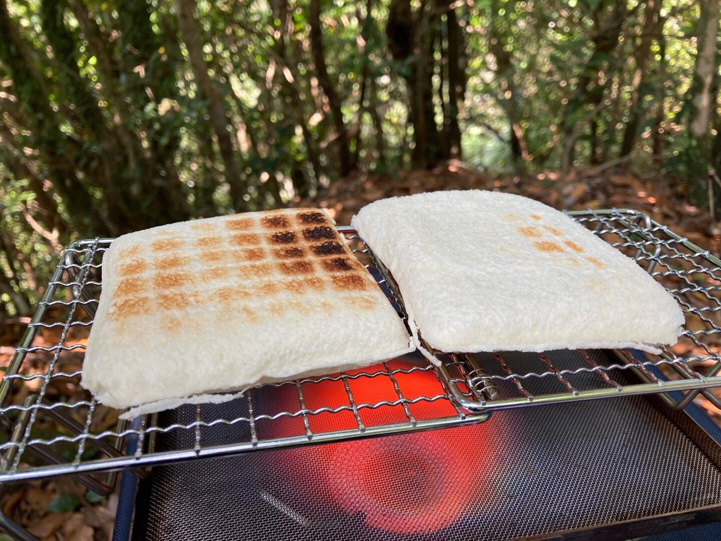 第46回・牧ノ山・牧II峰（青牧山） / ようこさんの黒髪山・青螺山の活動データ | YAMAP / ヤマップ