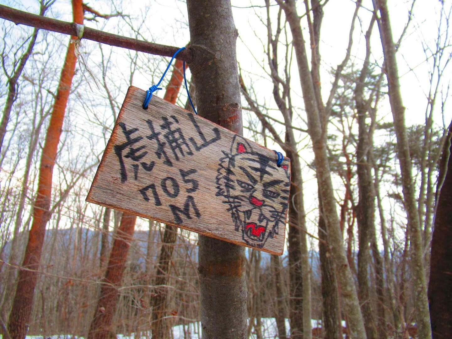 虎捕山 / y_kumataさんの霊山の活動データ | YAMAP / ヤマップ