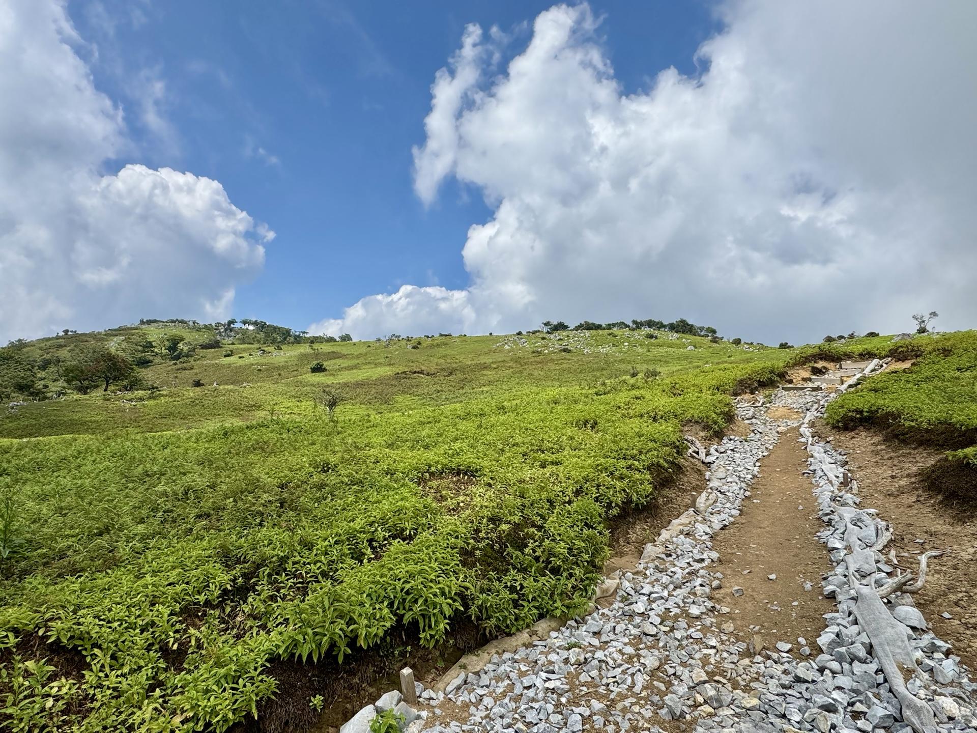 藤原岳・天狗岩 / Bobさんの藤原岳・御池岳の活動データ | YAMAP / ヤマップ