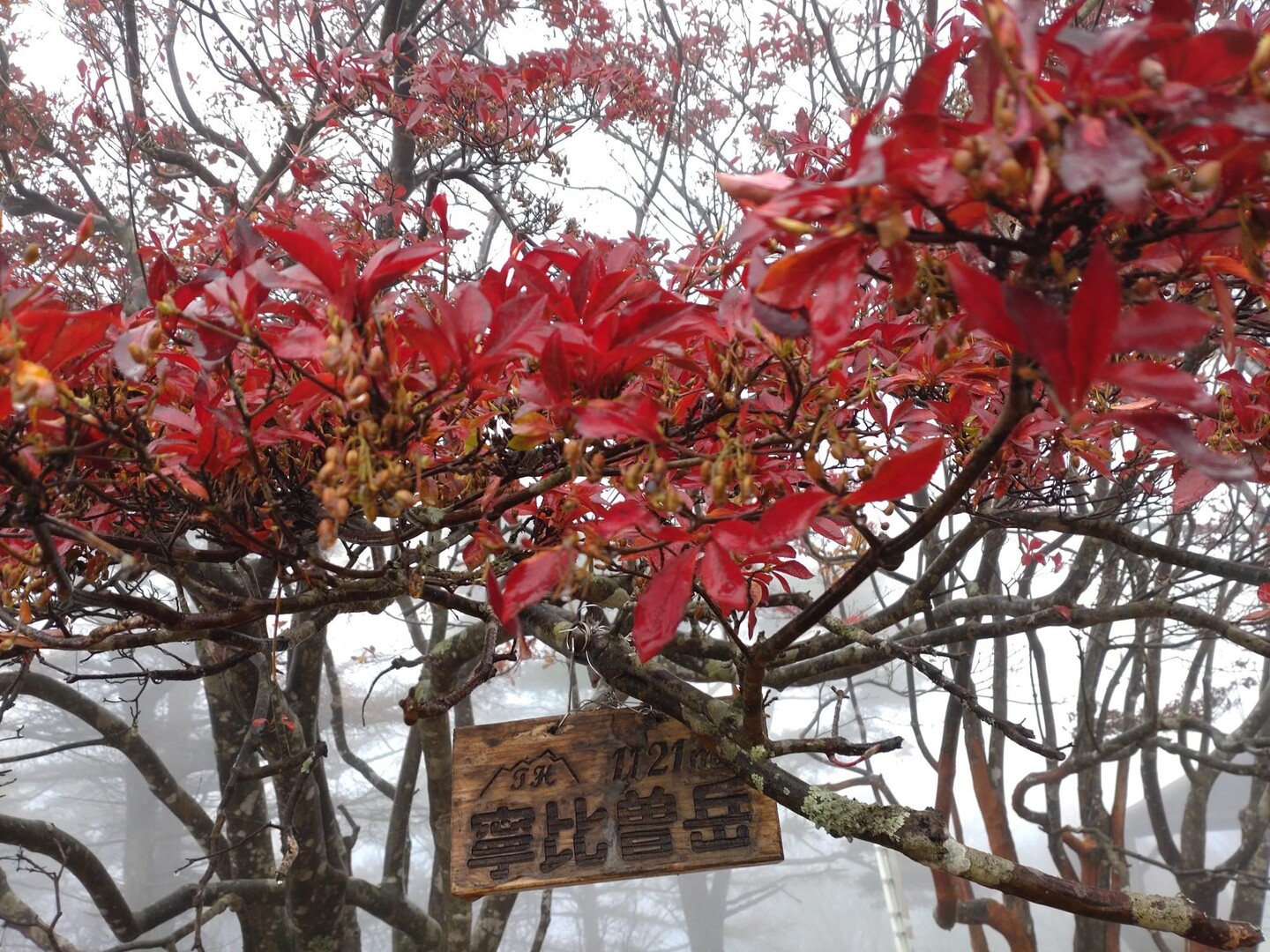寧比曽岳 / potiさんの寧比曽岳・筈ヶ岳・出来山の活動データ | YAMAP / ヤマップ