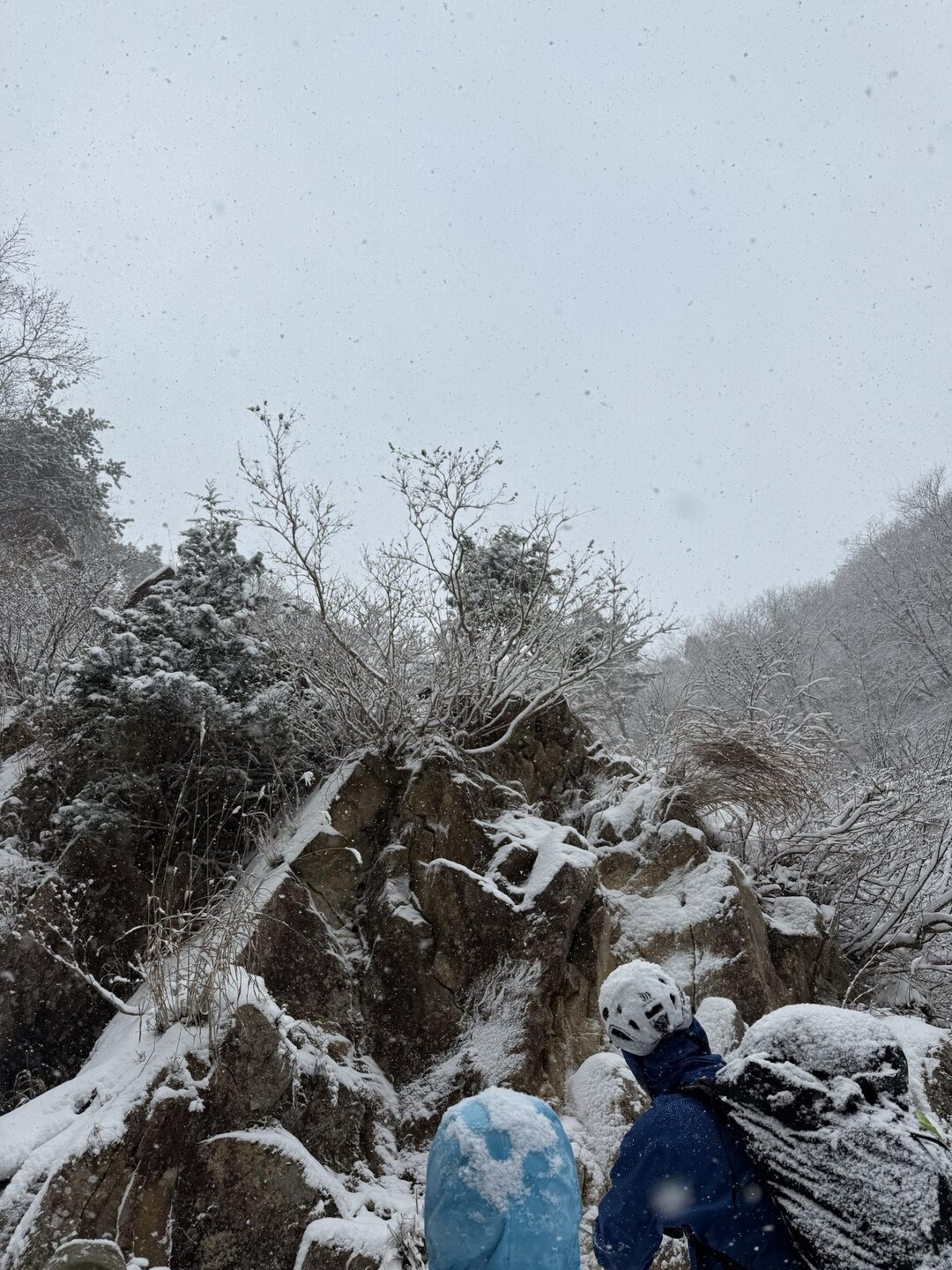 堂満岳中央稜へGO‼️ ルンゼの前で終了 / ryosui_ さんの比良山地・武奈ヶ岳・釈迦岳の活動データ | YAMAP / ヤマップ