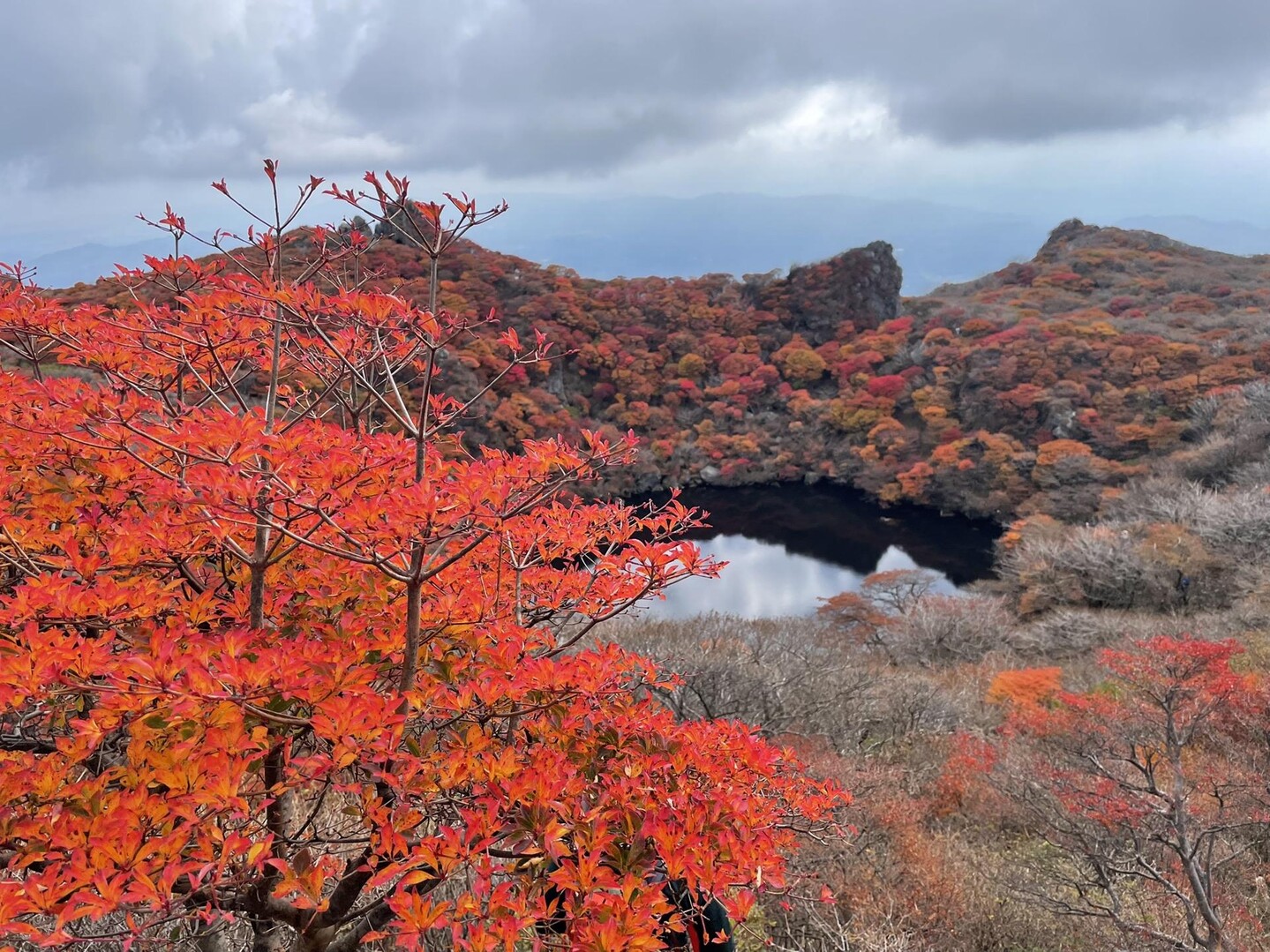 大船山・北大船山 / sikaさんの九重山（久住山）・大船山・星生山の活動データ | YAMAP / ヤマップ
