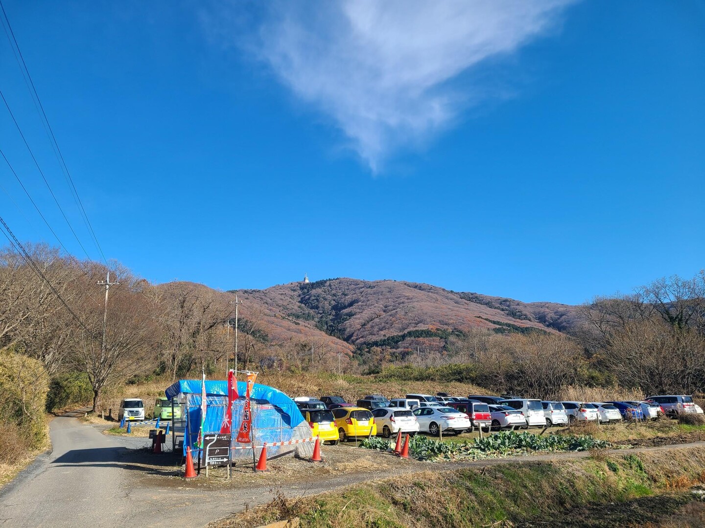 y🐻さんの投稿したフィールドメモ | YAMAP / ヤマップ