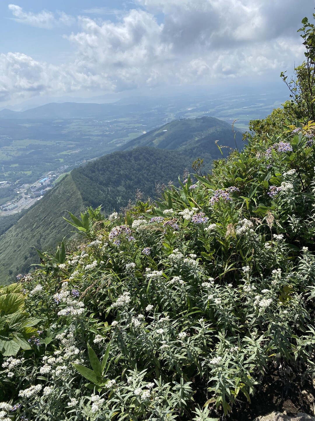 尻別岳・橇負山 / ma-koさんの尻別岳の活動データ | YAMAP / ヤマップ