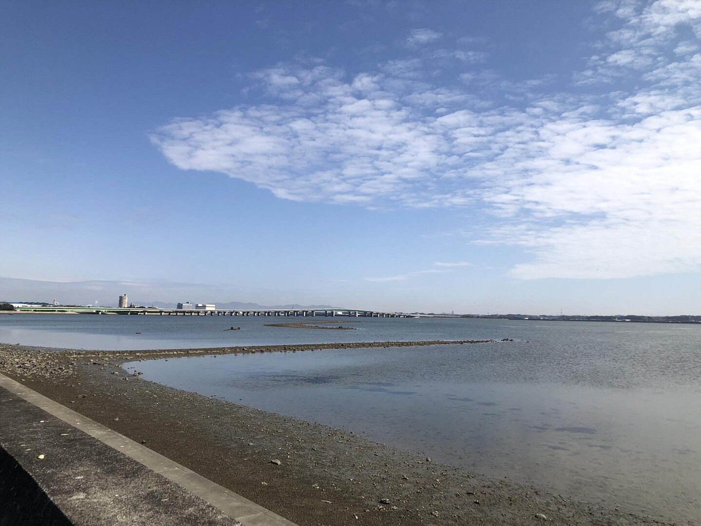 渥美半島LSD トレイル無しの100%ロード走 / Mori-zさんの蔵王山・衣笠山・滝頭山の活動データ | YAMAP / ヤマップ