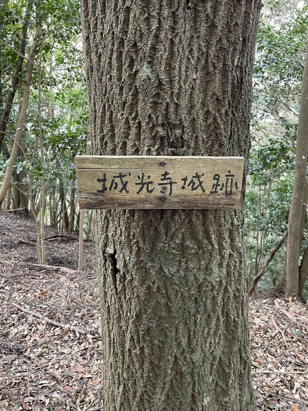 城光寺山 / JBT会員番号5さんの下関市（豊浦町・菊川町）の活動データ | YAMAP / ヤマップ