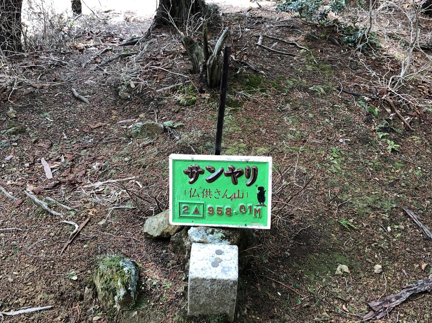 天狗堂・サンヤリ / susanさんの天狗堂の活動データ | YAMAP / ヤマップ