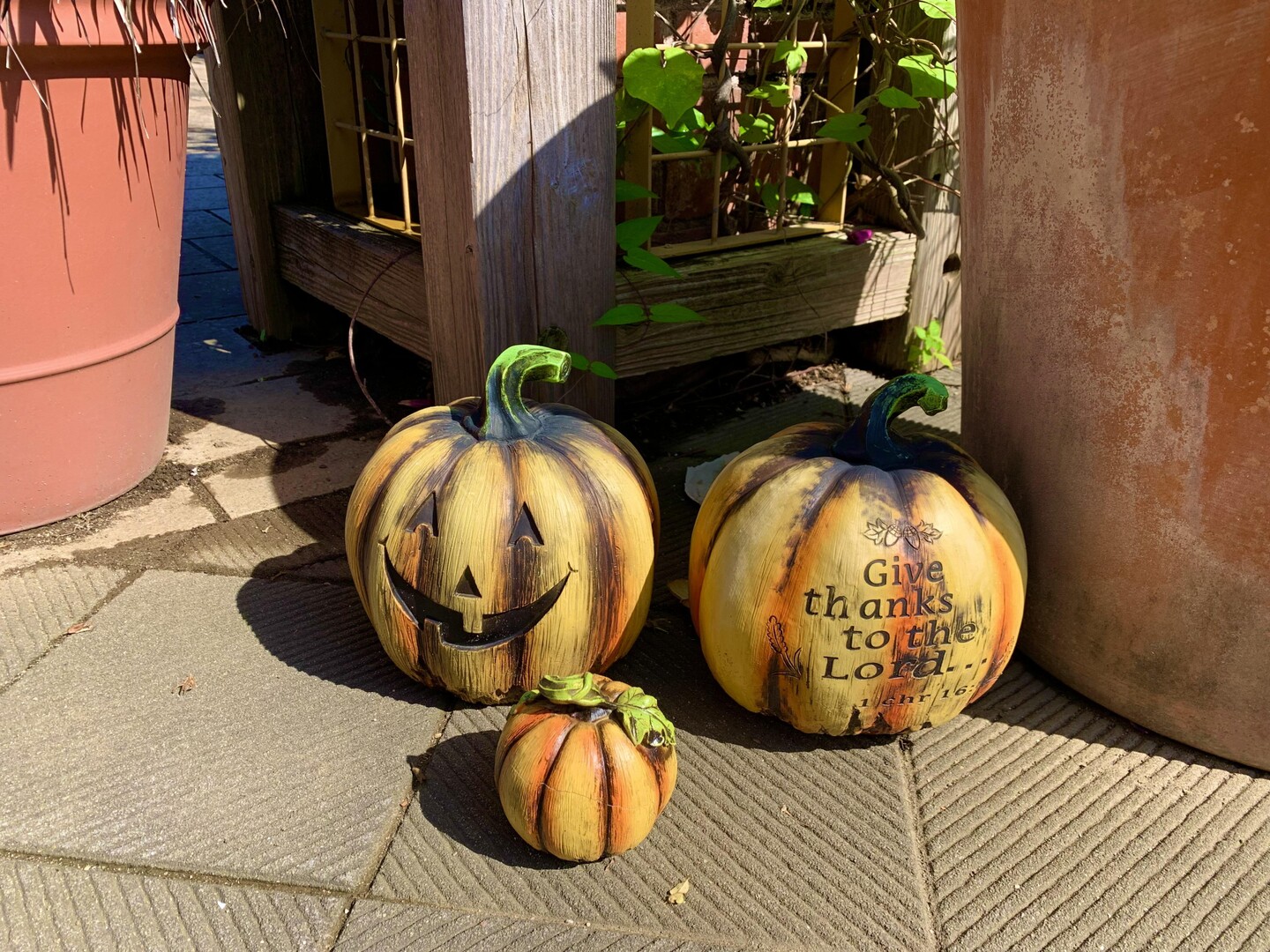 海の中道海浜公園 / tetsu さんの志賀島・潮見山の活動データ | YAMAP / ヤマップ