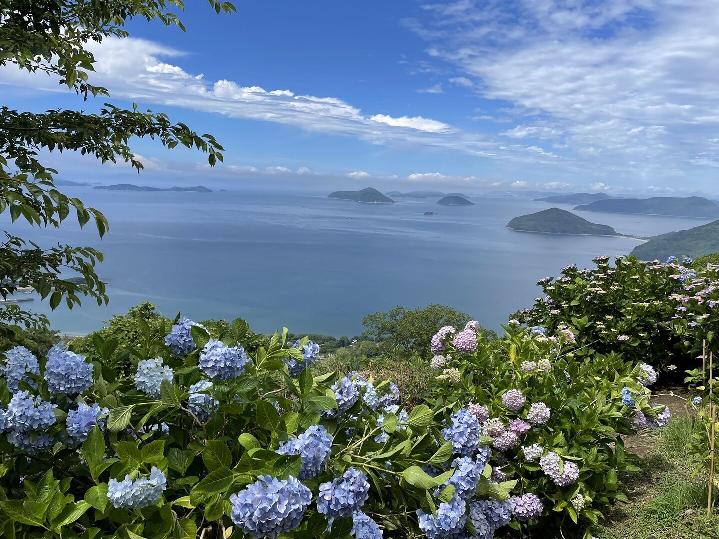 紫雲出山 / thyさんの荘内半島（三崎半島）・粟島の活動データ | YAMAP / ヤマップ