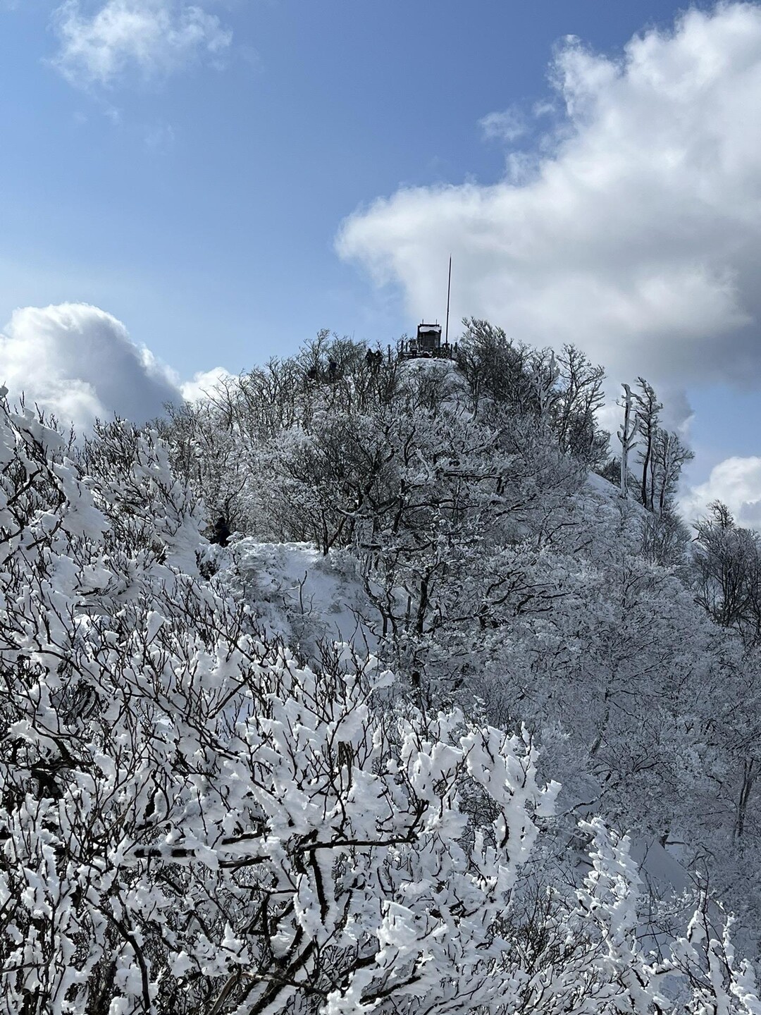 高見山 / mamiさんの高見山・黒石山・天狗山の活動データ | YAMAP / ヤマップ