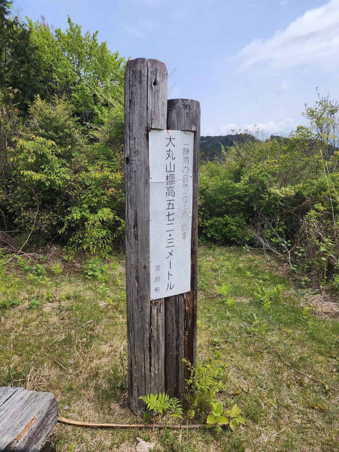 大平山・大久保山・大丸山 / mtc0190さんの金丸山・大丸山・雨乞山の活動データ | YAMAP / ヤマップ