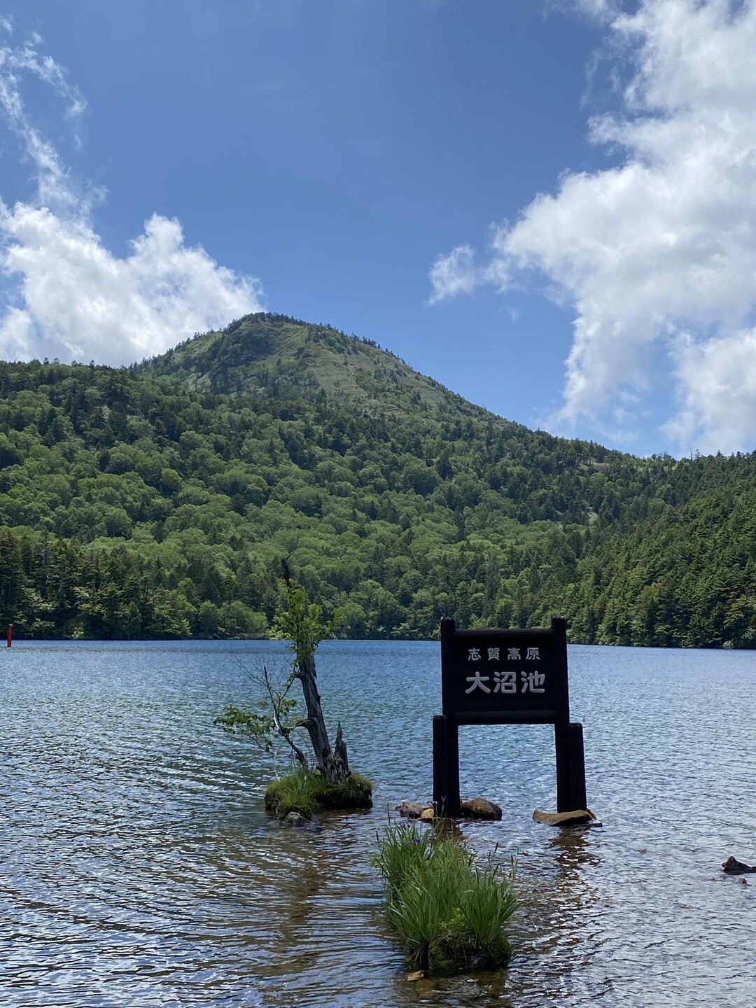 前山・志賀山・裏志賀山 / Emiko JAMA登山部さんの横手山・志賀山・赤石山の活動データ | YAMAP / ヤマップ