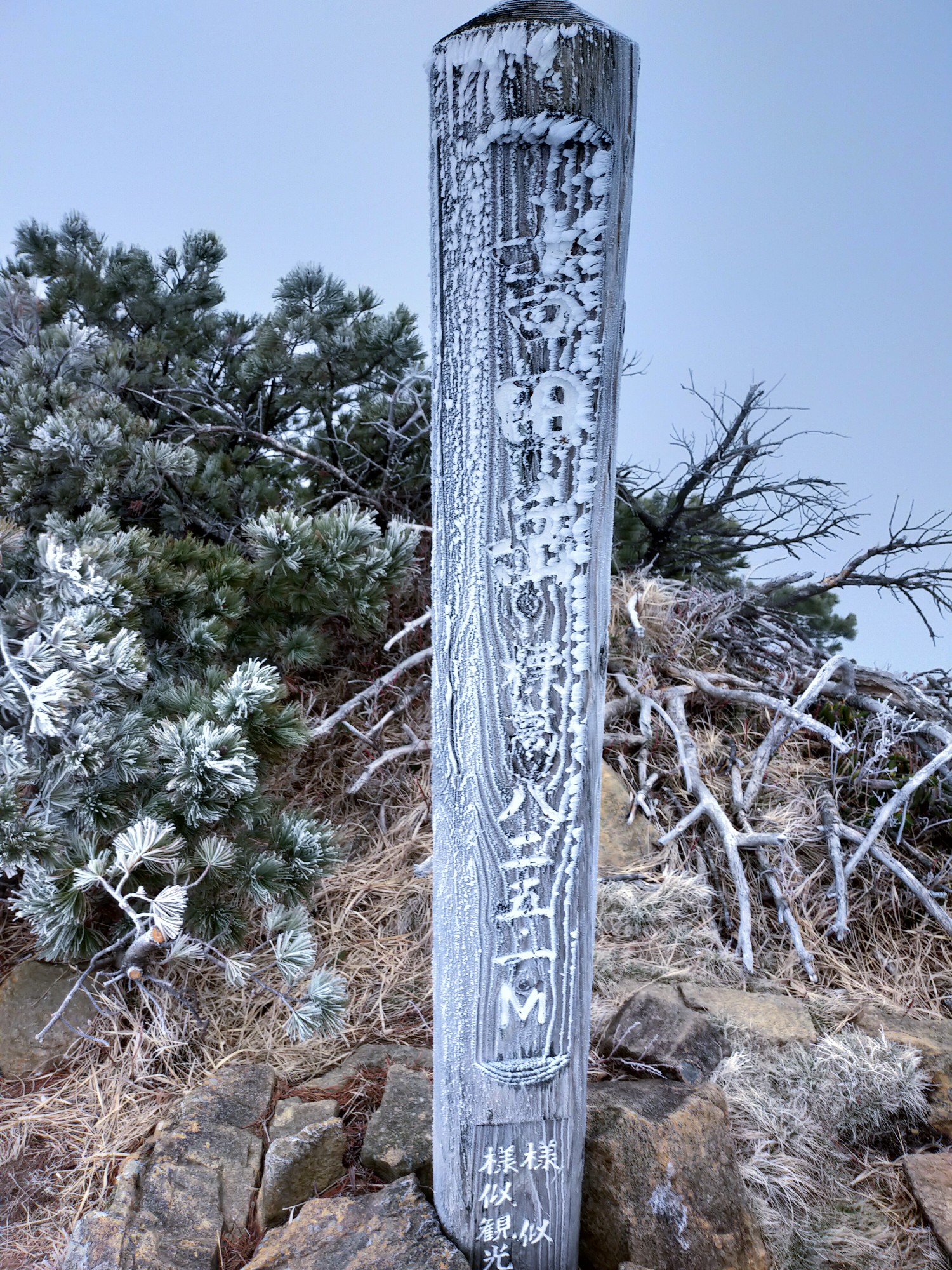 アポイ岳・吉田岳 / digdigさんのアポイ岳の活動データ | YAMAP / ヤマップ