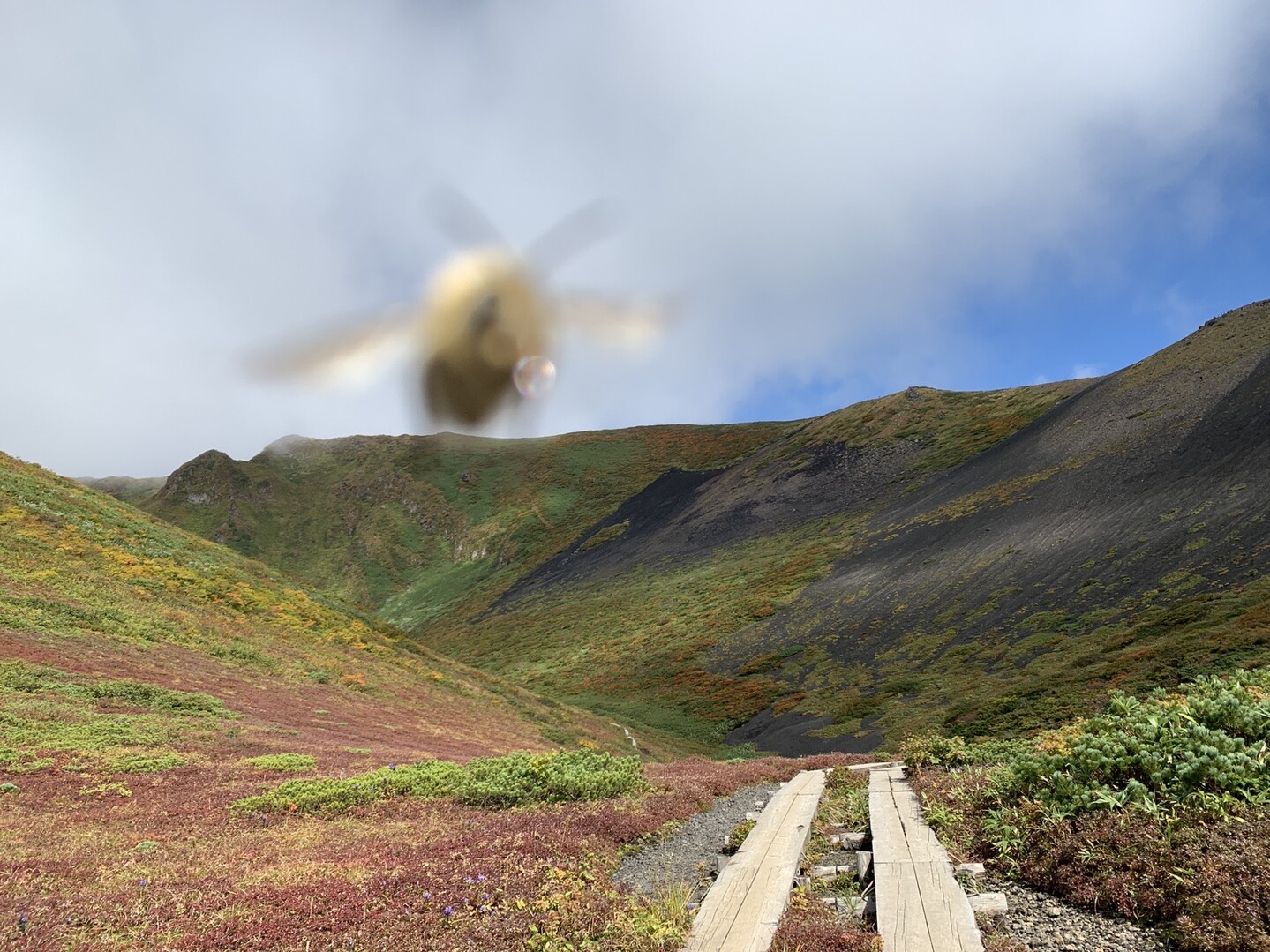 秋田駒ヶ岳-2020-09-28 / Ma-buさんの乳頭山・湯森山・大白森の活動データ | YAMAP / ヤマップ