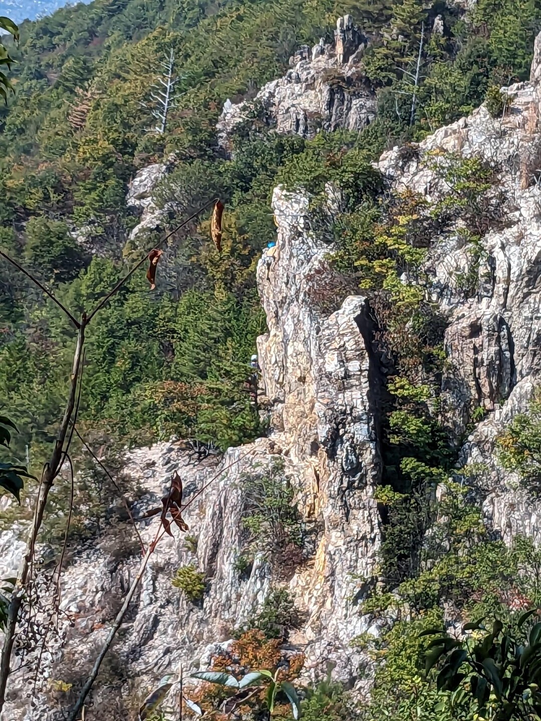 芥見権現山 散歩w / Mountain hiroさんの各務原アルプス（関南アルプス）・八木三山の活動データ | YAMAP / ヤマップ