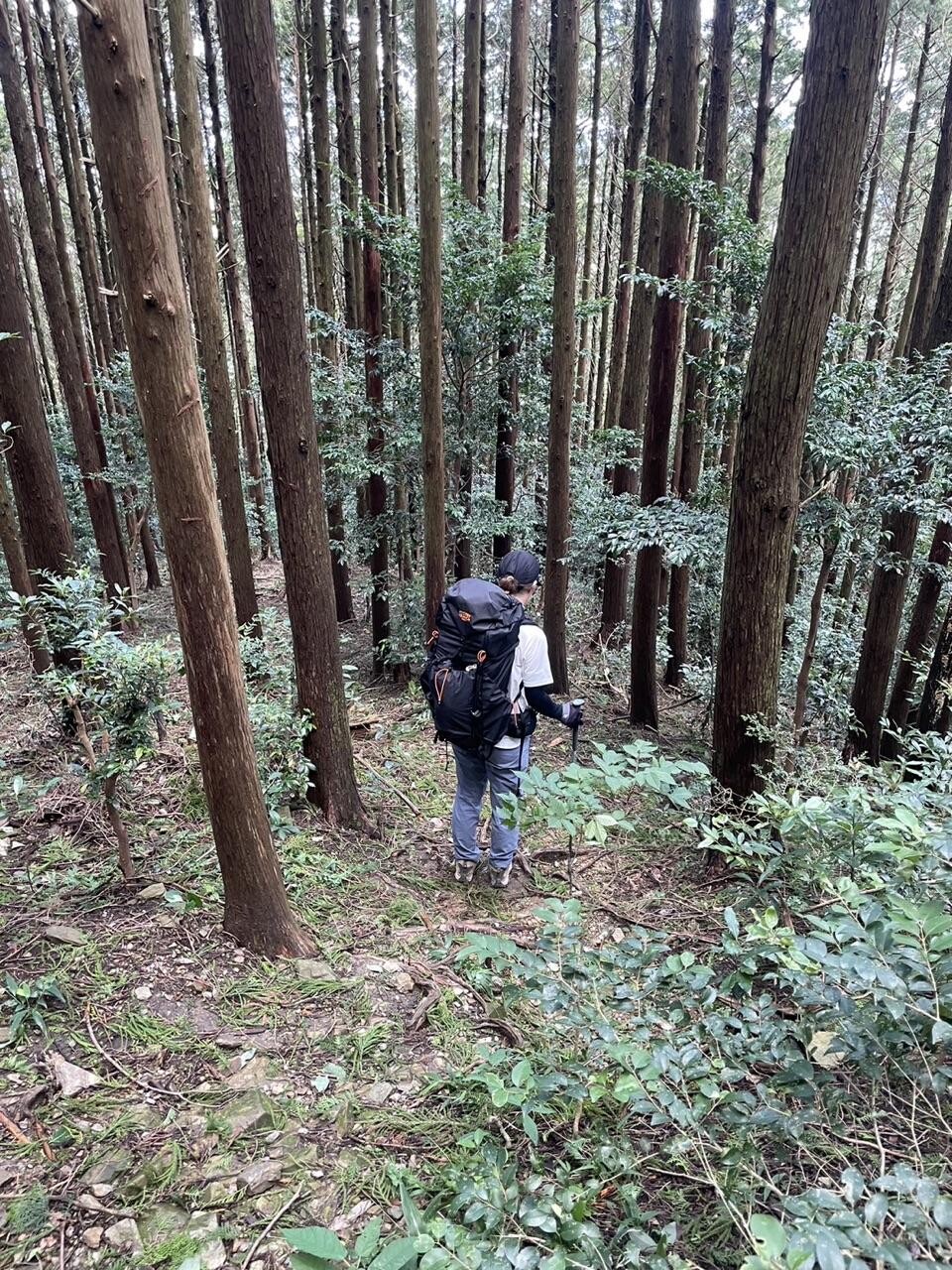 O-SHOのページ | YAMAP / ヤマップ