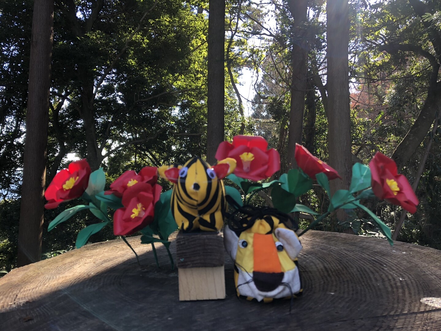 南高尾 / opioさんの高尾山・陣馬山・景信山の活動データ | YAMAP / ヤマップ