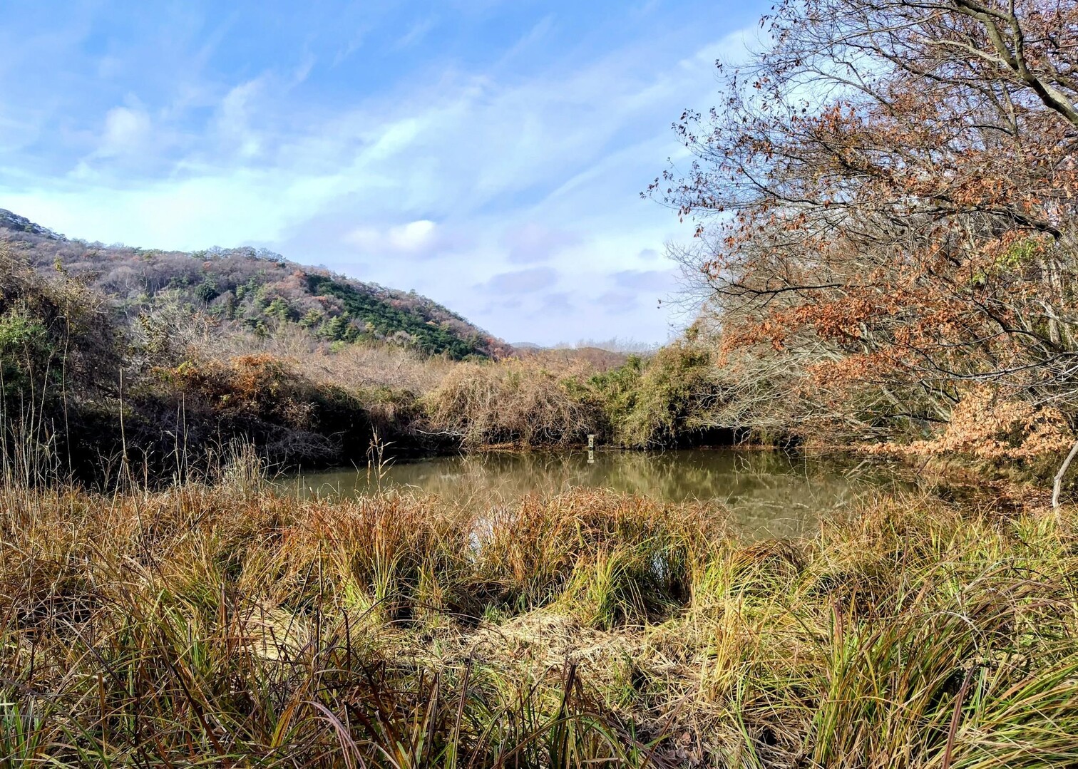 萱場山まで / emiさんの大小山（妙義山）・西場富士の活動日記 | YAMAP / ヤマップ