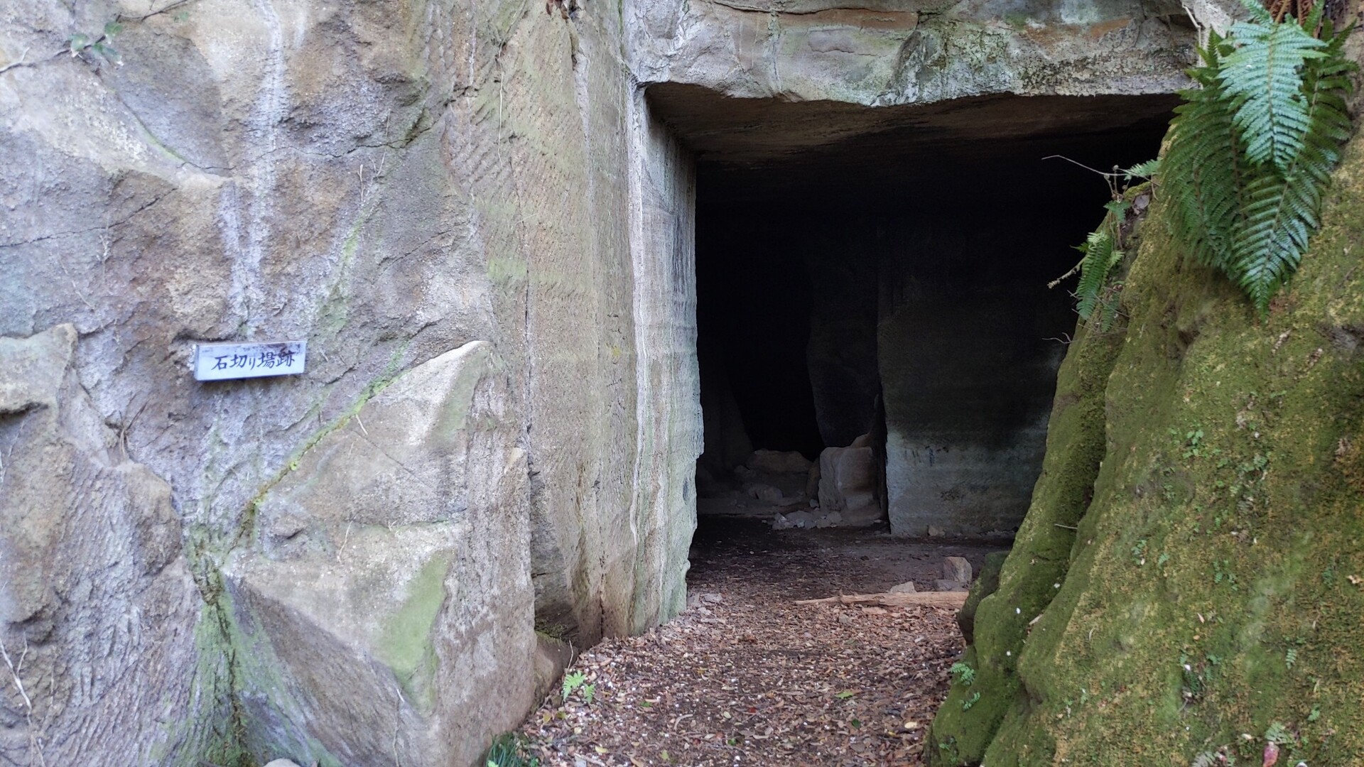 nakameguさんの投稿したフィールドメモ | YAMAP / ヤマップ