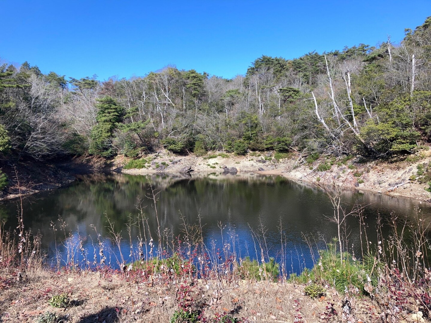 柏野山〜海見山を周回（丹波篠山市） / ゆずころさんの虚空蔵山・八王子山・和田寺山の活動日記 | YAMAP / ヤマップ