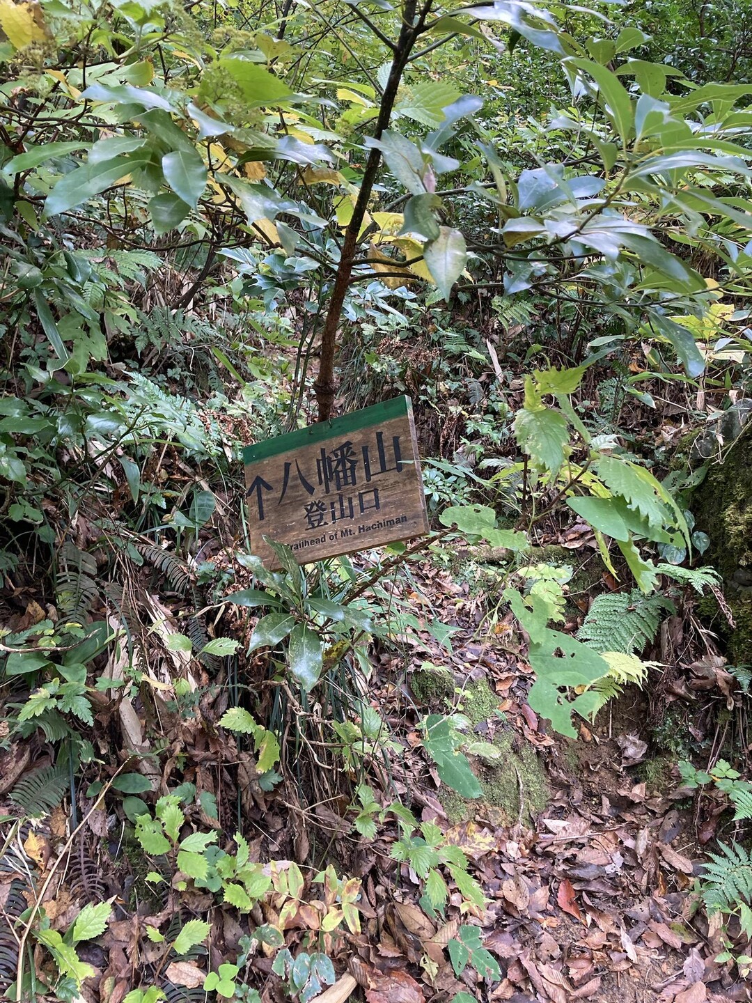 八幡山歩 / puyoさんの足羽山・八幡山・兎越山の活動データ | YAMAP / ヤマップ