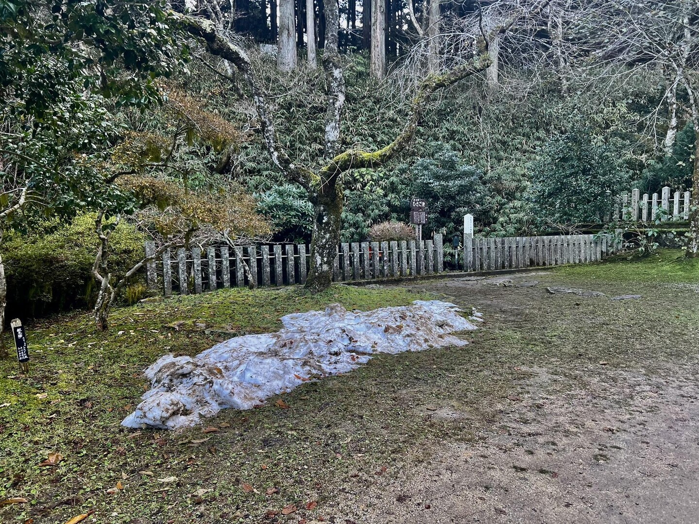 残雪の金剛山⛄️😅 / moboさんの金剛山・二上山・大和葛城山の活動データ | YAMAP / ヤマップ