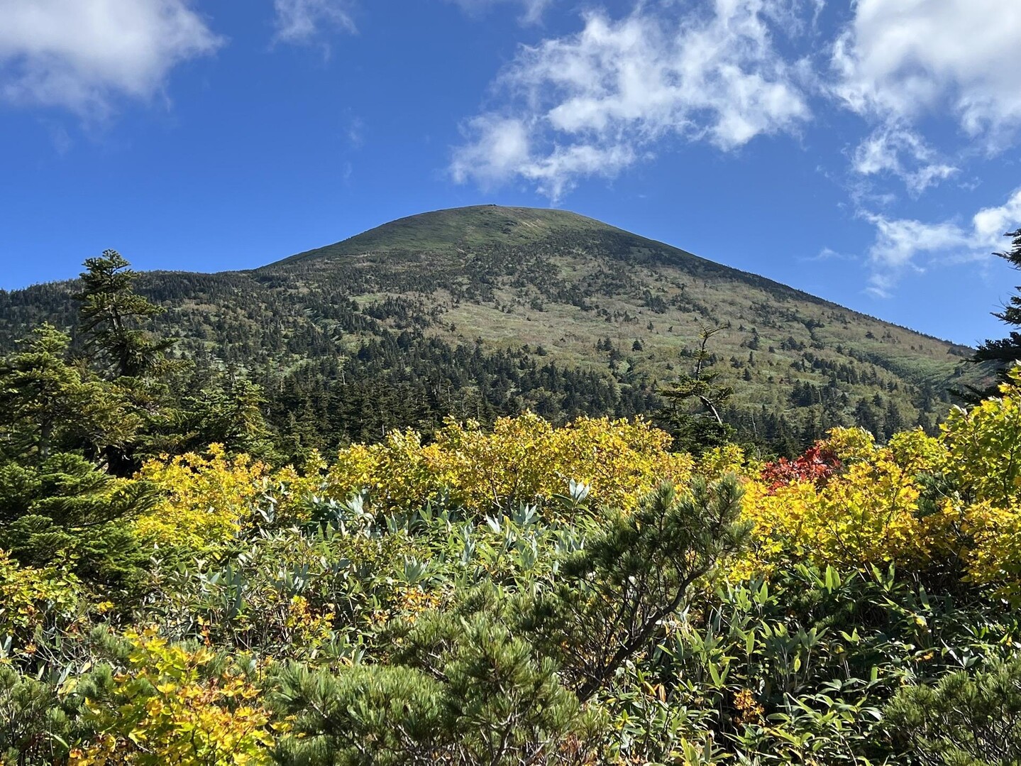 八甲田山（大岳）🍁 / sinoさんさんの八甲田山・高田大岳・雛岳の活動データ | YAMAP / ヤマップ