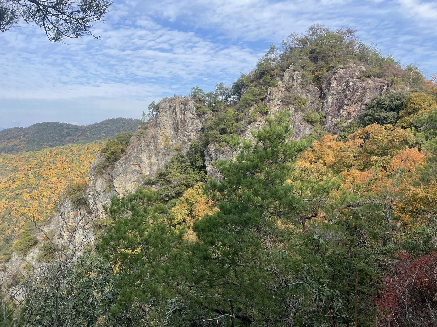 健康の森777 / Junさんのみのかも健康の森の活動データ | YAMAP / ヤマップ