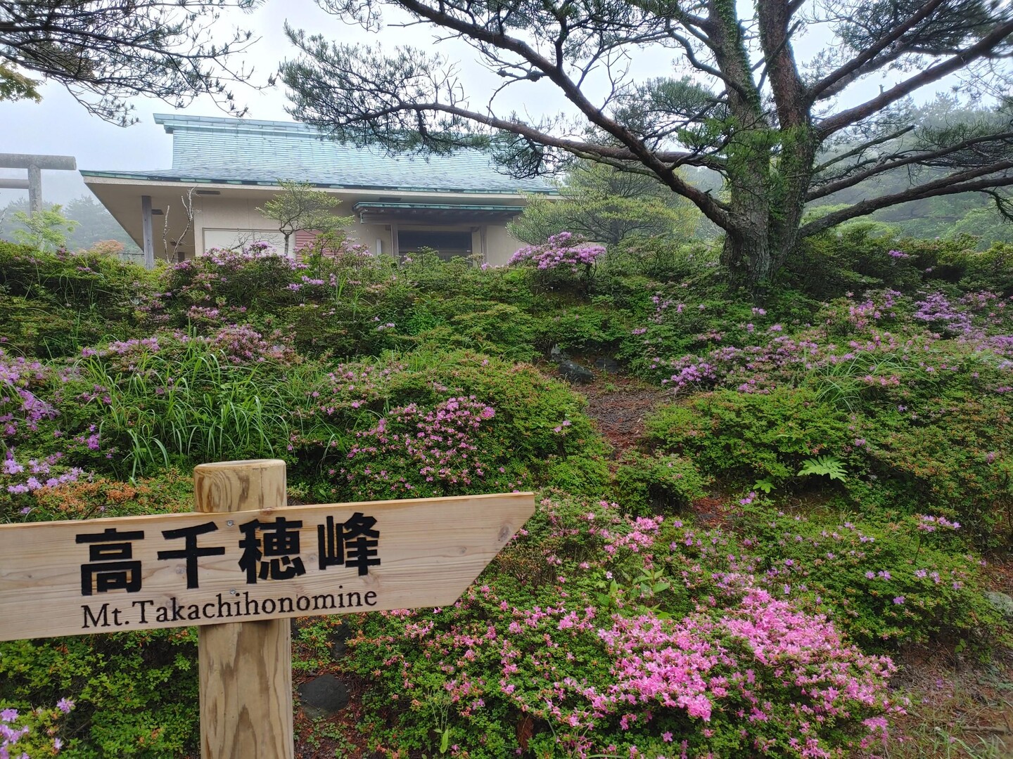 九州へ ②高千穂峰~桜島 / くりみつさんの霧島山・韓国岳・高千穂峰・夷守岳・烏帽子岳の活動データ | YAMAP / ヤマップ