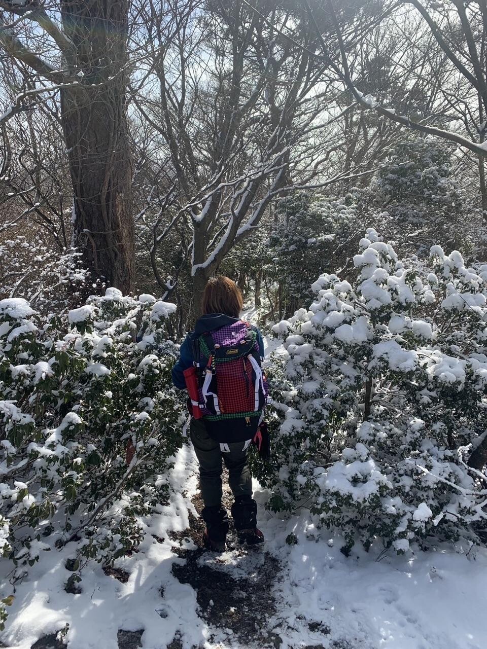 yu_koのページ | YAMAP / ヤマップ