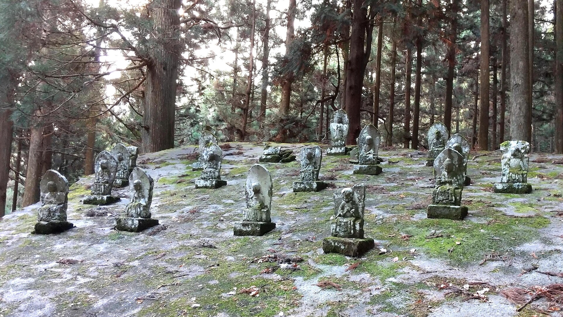 満願成就 良々堂山 / hirominさんのいわき市の活動データ | YAMAP / ヤマップ