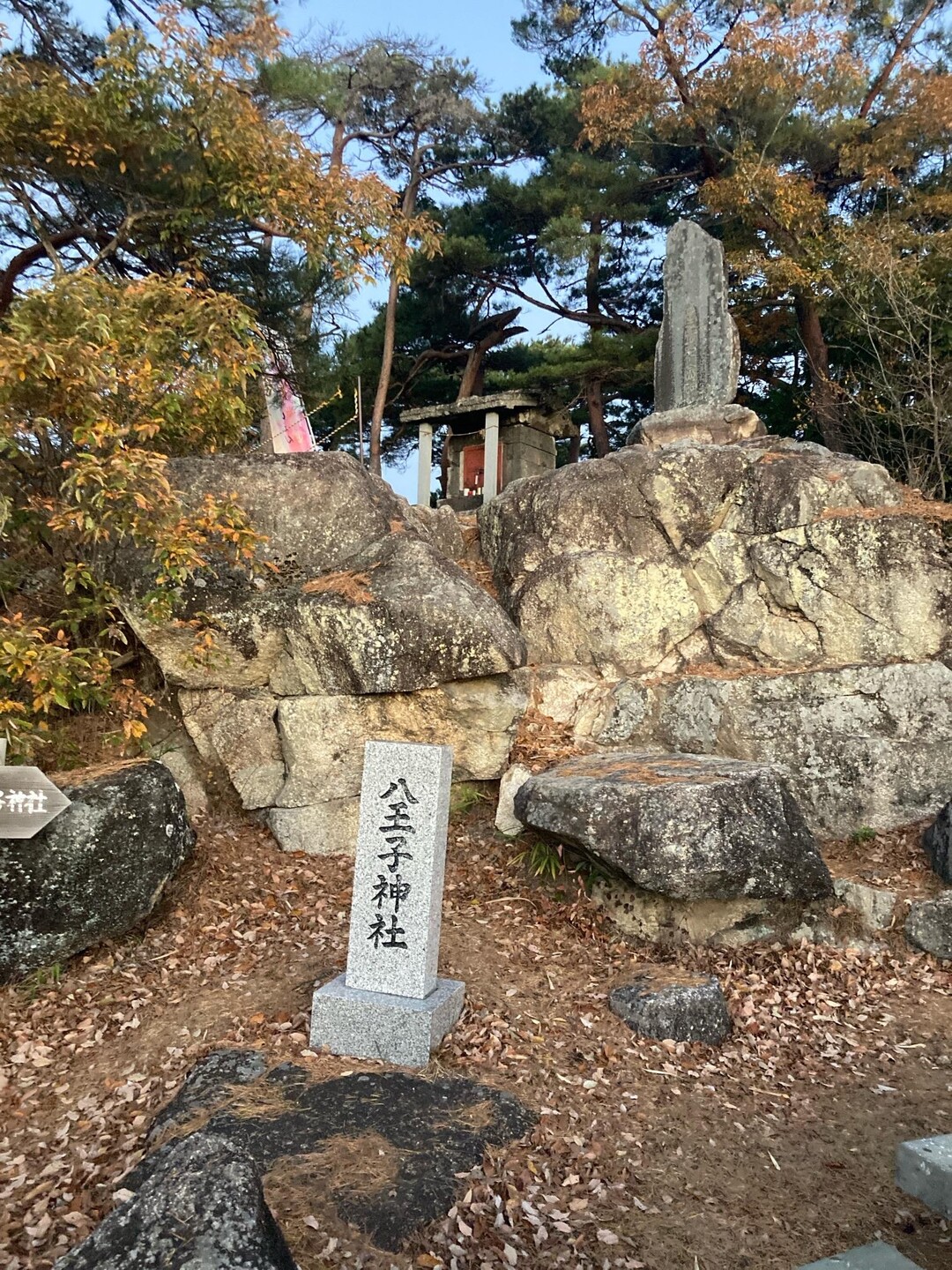 八王子山（白山） / explorerさんの興因寺山・淡雪山・八王子山の活動データ | YAMAP / ヤマップ