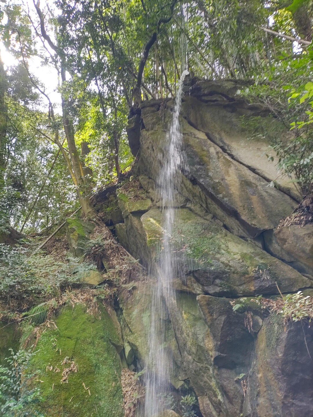 鳴川峠へ、滝と渓流コースからの水呑へ😆 / keiAM60さんの生駒山・神津嶽・大原山の活動データ | YAMAP / ヤマップ