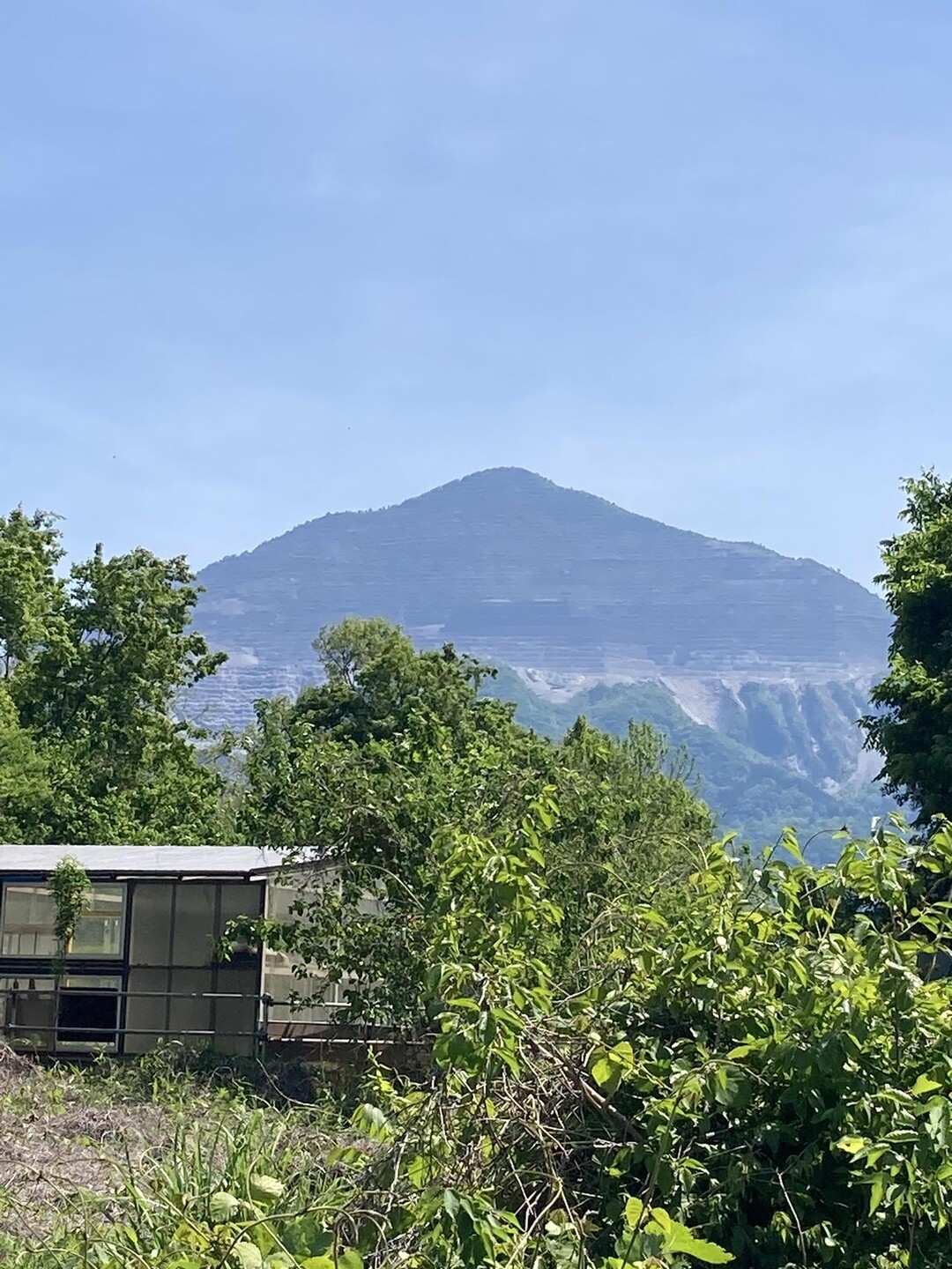 武甲山 / matsuさんの棒ノ折山（棒ノ嶺）の活動データ | YAMAP / ヤマップ
