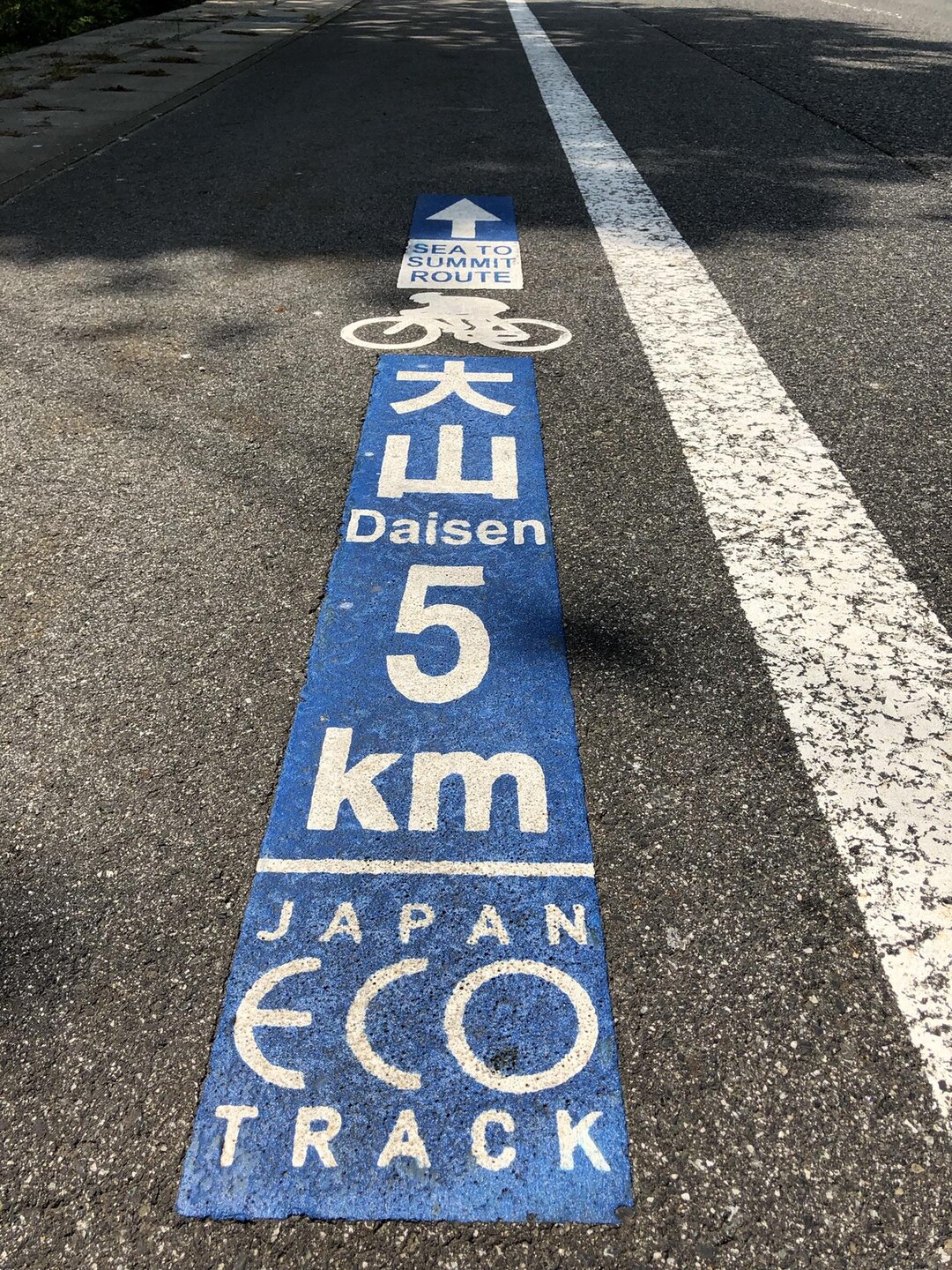 鳥取・大山（SEA TO SUMMIT 2024 大山大会） / すみちょんさんの金剛山・二上山・大和葛城山の活動データ | YAMAP / ヤマップ