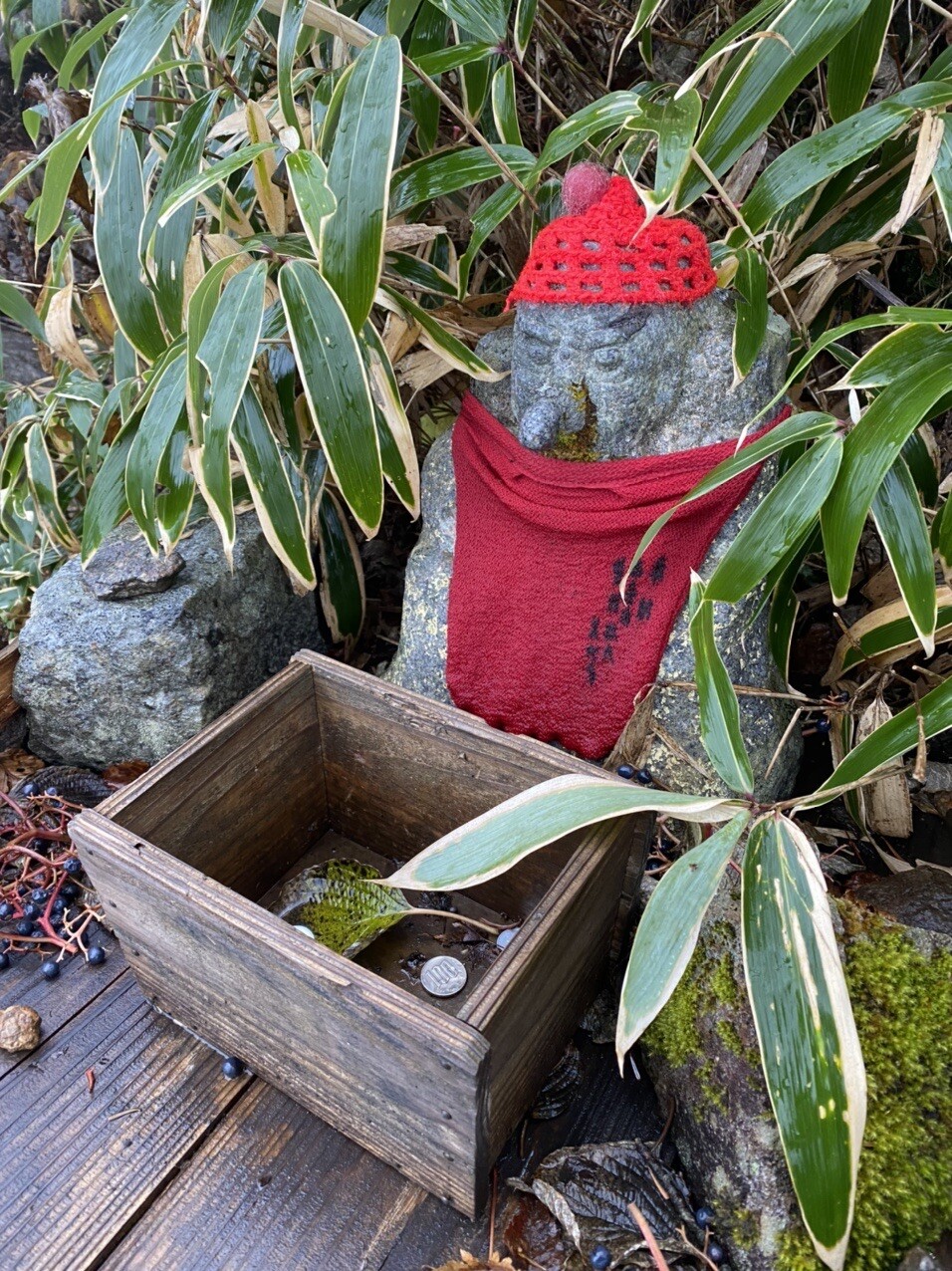 お久しぶりの石鎚山・天狗岳（まさかの雨でした…） / tat-ninoさんの石鎚山・堂ヶ森・二ノ森の活動データ | YAMAP / ヤマップ