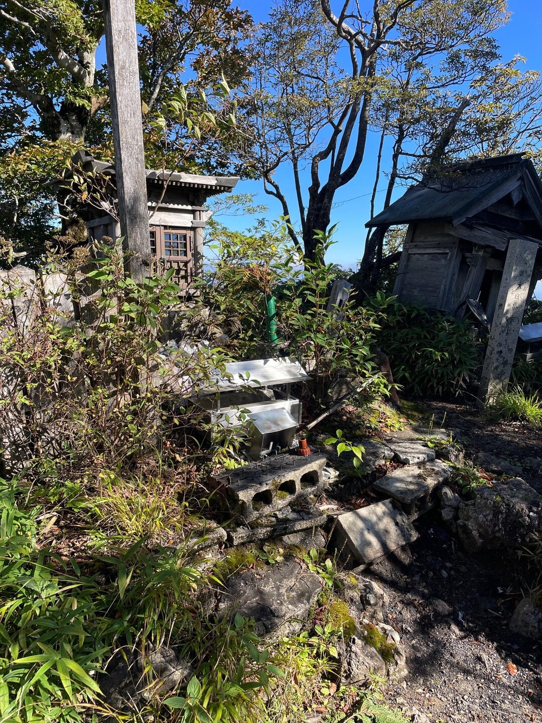 ま ささんの投稿したフィールドメモ | YAMAP / ヤマップ