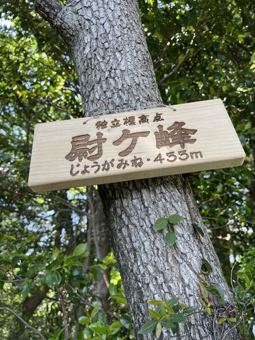 尉ヶ峰 / モンベルマンさんの富幕山・尉ヶ峰・竜ヶ石山の活動データ | YAMAP / ヤマップ