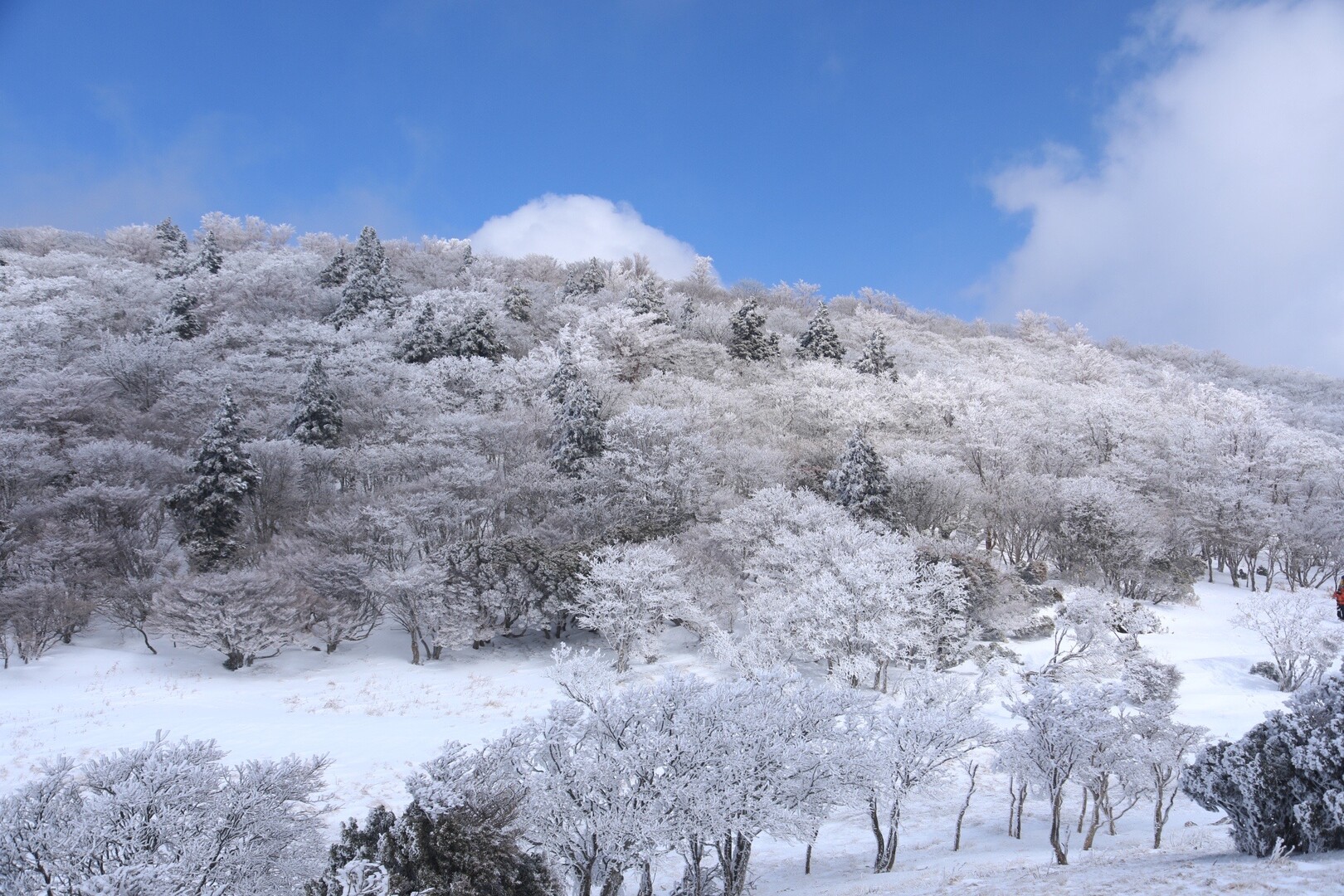 三峰山 / ハマさんの三峰山・学能堂山・栗ノ木岳の活動データ | YAMAP / ヤマップ