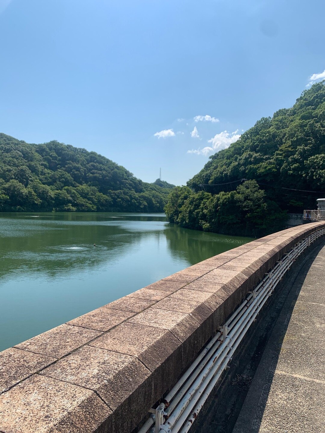 踏査 烏原貯水池から鵯越 / hikkyさんのウォーキングの活動データ | YAMAP / ヤマップ