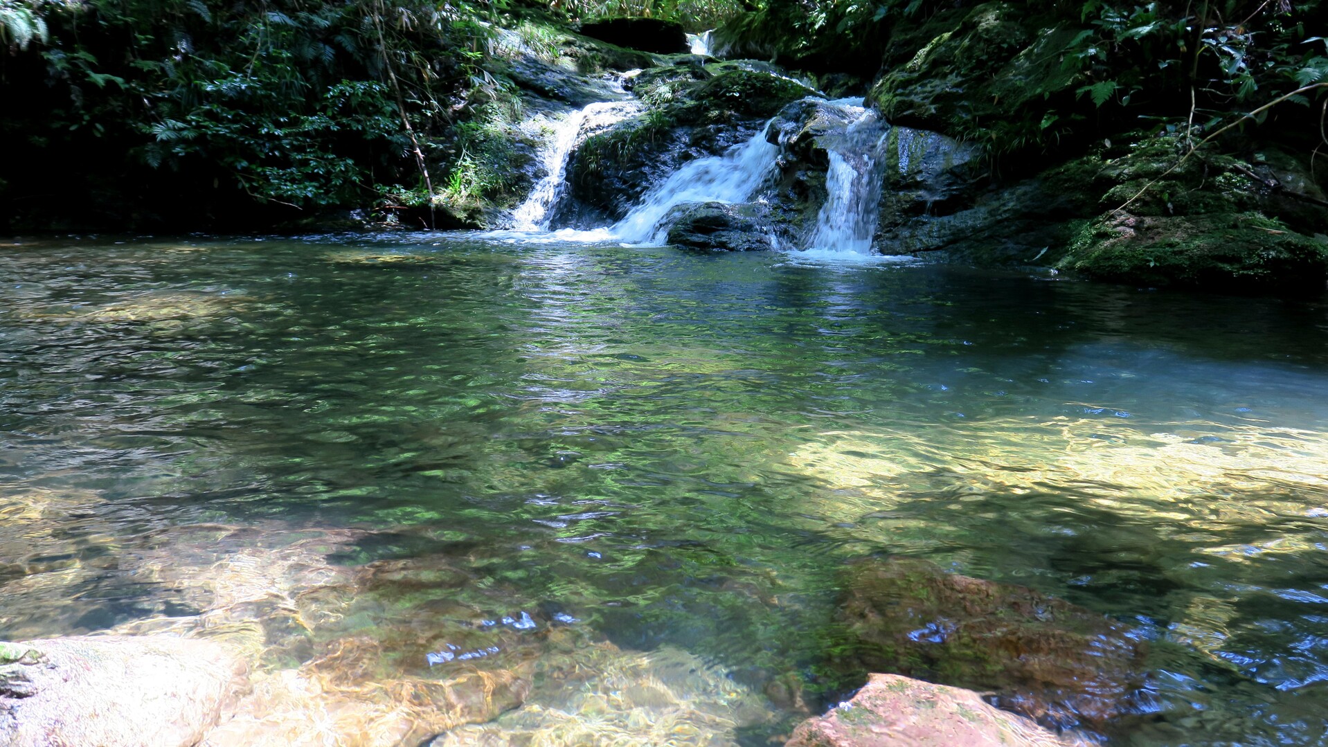 鞍掛山デビュー（猛暑）☀️😵💦 加賀... / tomo1990さんのモーメント | YAMAP / ヤマップ