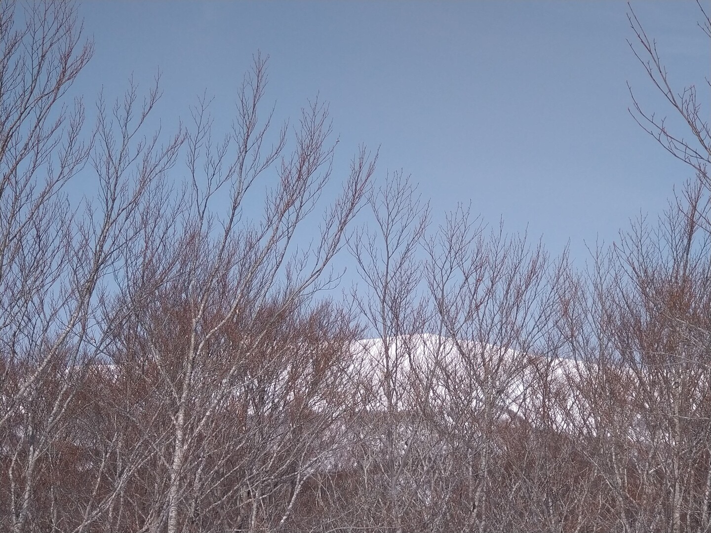 船形山 三光の宮まで / ao_hachiさんの船形山（御所山）・泉ヶ岳・蛇ヶ岳の活動データ | YAMAP / ヤマップ